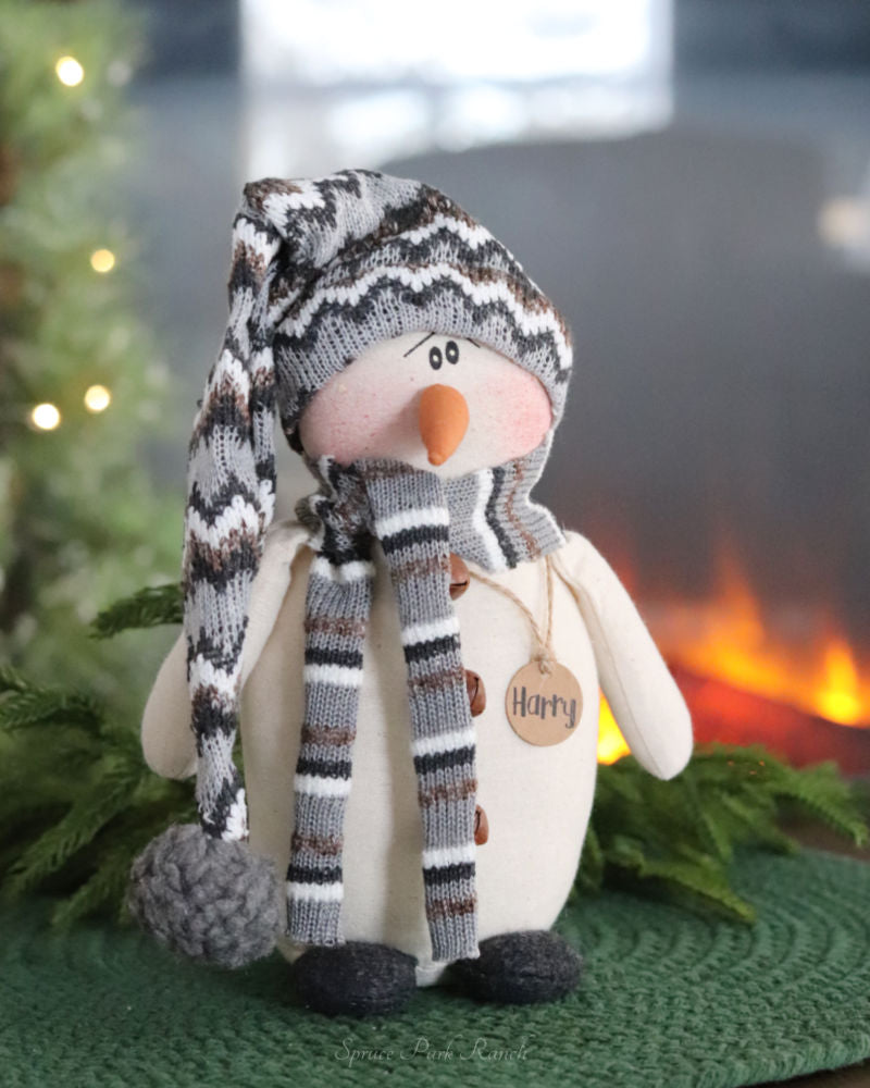 Harry the Snowman – Spruce Park Ranch
