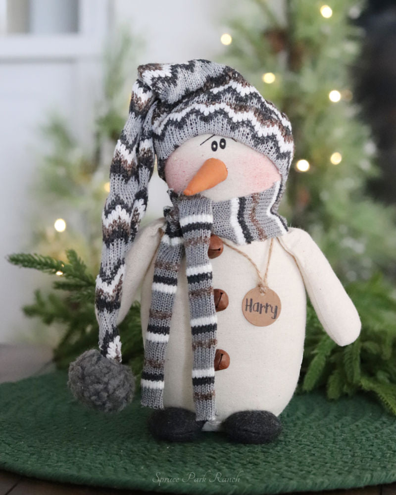 Harry the Snowman – Spruce Park Ranch
