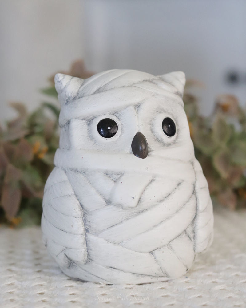 Mummy Owl – Spruce Park Ranch