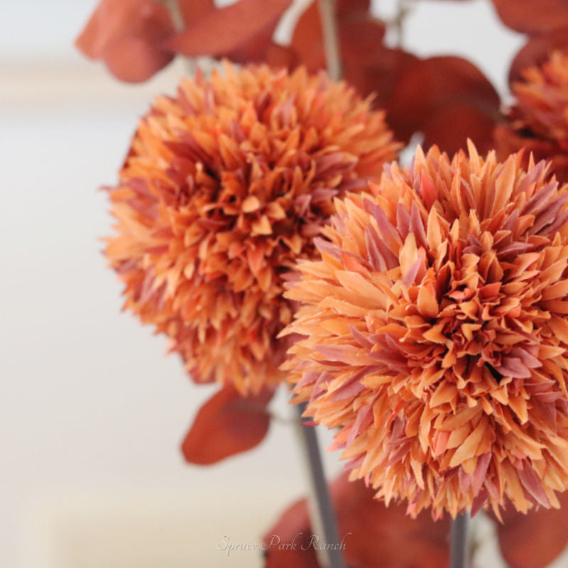 Allium Stem 26" Orange – Spruce Park Ranch